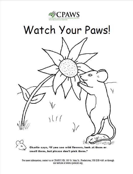 Kids – Watch Your Paws! - CPAWS New Brunswick
