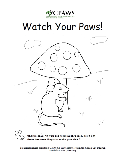 Kids – Watch Your Paws! - CPAWS New Brunswick