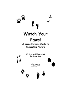 Kids – Watch Your Paws! – CPAWS New Brunswick