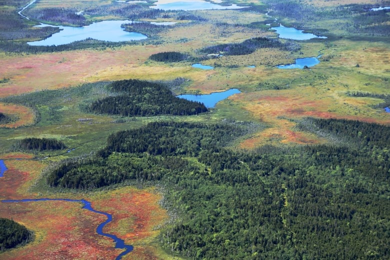 Connecting Nature across the Chignecto Isthmus - CPAWS New Brunswick