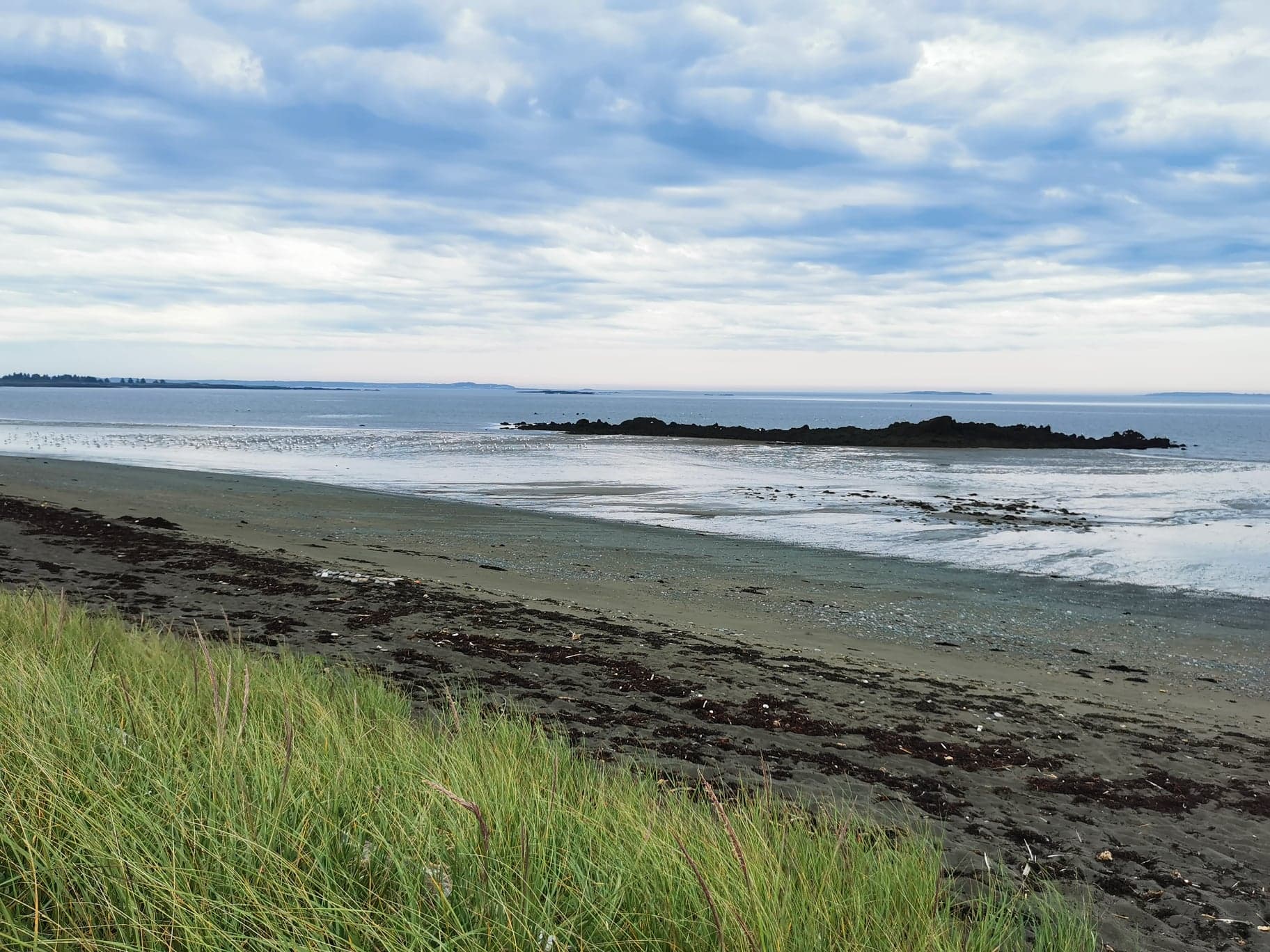 Exploring New Brunswick’s beachside habitats - CPAWS New Brunswick