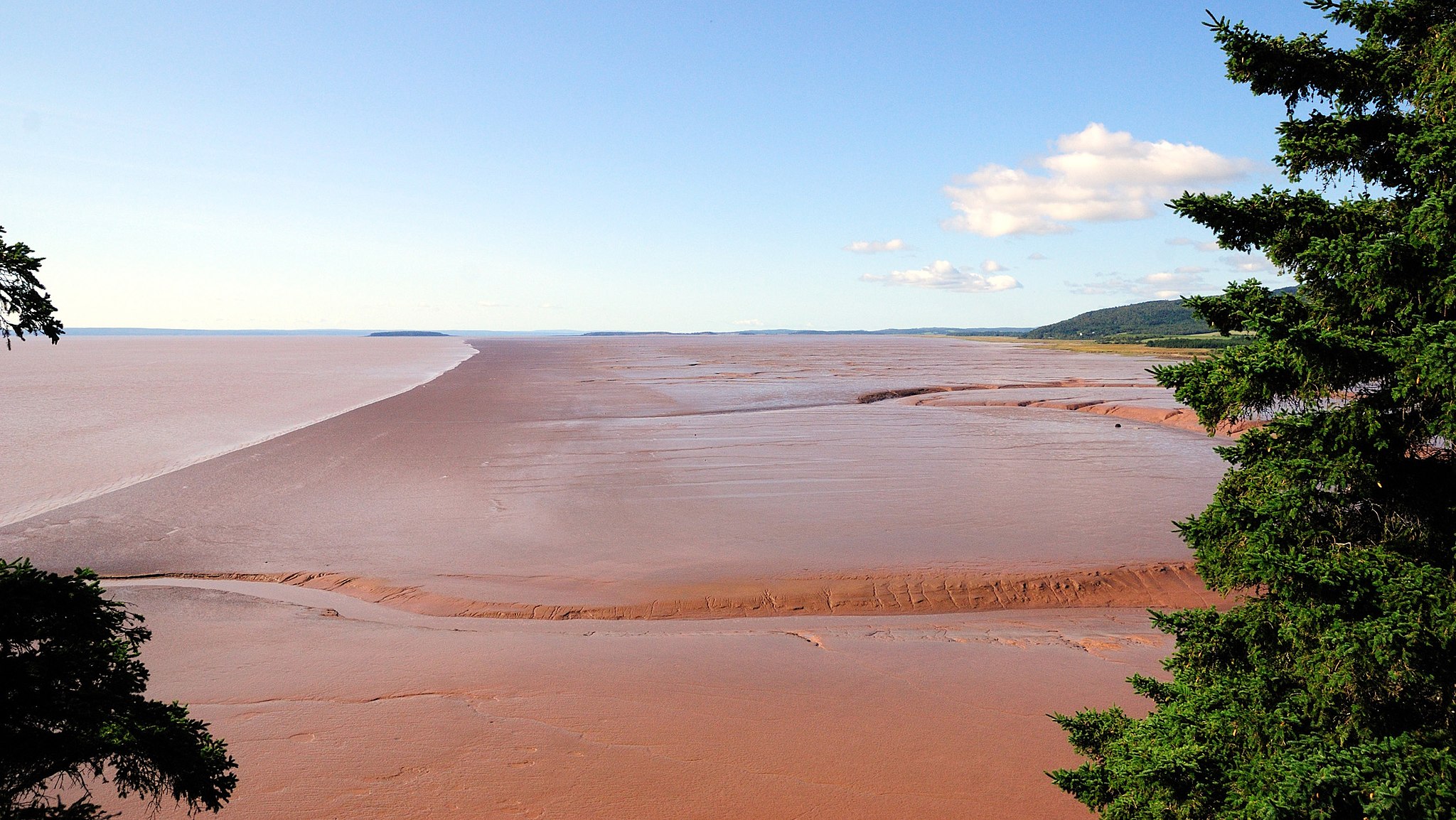 Exploring New Brunswick’s beachside habitats - CPAWS New Brunswick
