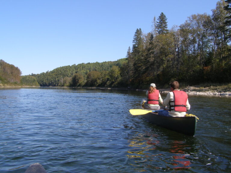 Top Environmental Groups Welcome First Step Toward Doubling Nature ...